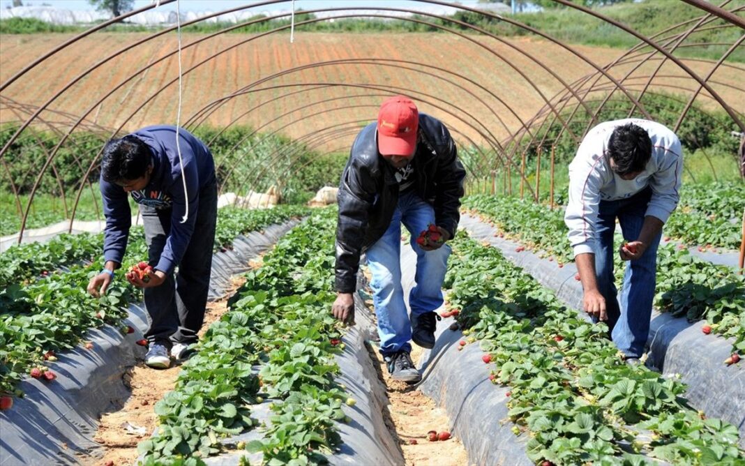 Ψηφίσθηκε η ρύθμιση για την «Απασχόληση πολιτών τρίτων χωρών στην ...
