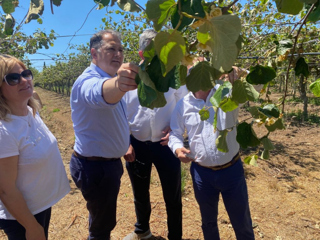 Στύλιος: Άμεσα η εκτίμηση των ζημιών στα ακτινίδια - Φρουτονέα