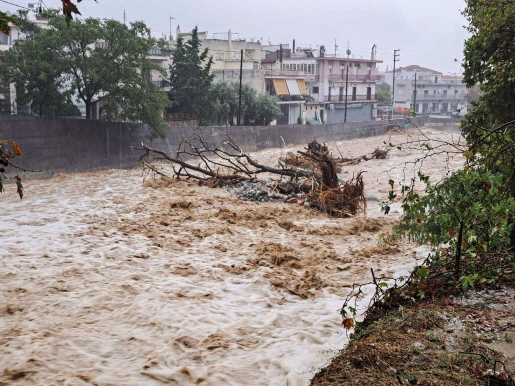 Ομόφωνο ψήφισμα γενικής συνέλευσης Αγροτικού Συνεταιρισμού Ζαγοράς ...