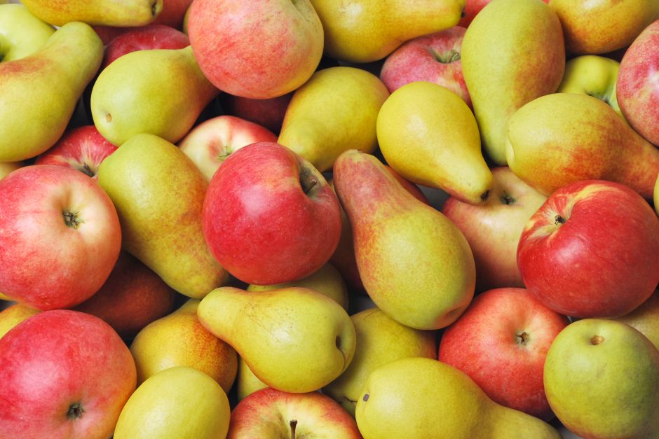 Prognosfruit 2025: Έναρξη εγγραφών για το συνέδριο μηλοειδών της WAPA ...